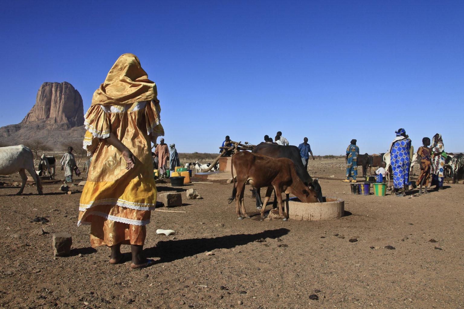 MALI : THE PLEDGES OF ECONOMIC STABILITY – UMOA-Titres